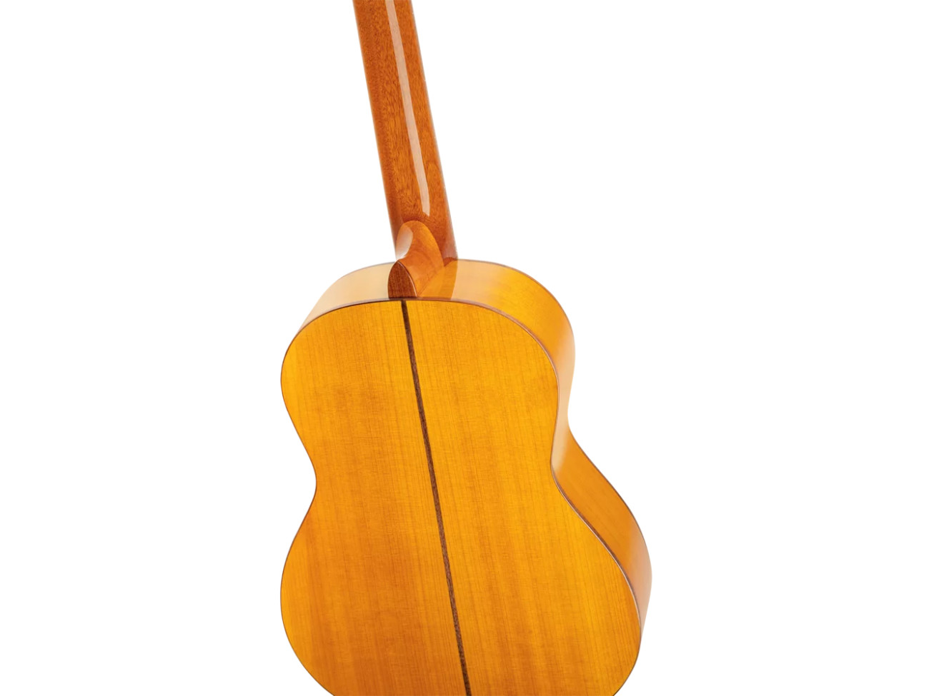 ORTEGA R170F - GITARA KLASYCZNA - Riff.net.pl